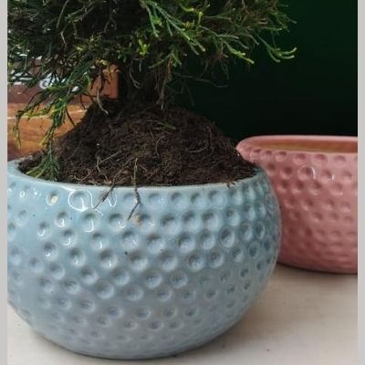 Golf All Day - Large Golf Ball Planter – Geekmonkey