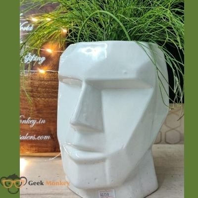My Handsome - Geometric Face Planter – Geekmonkey